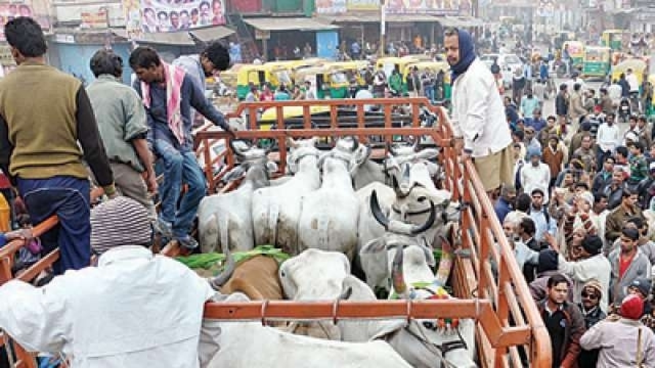 Cattle slaughter ban: Kerala Assembly to hold special session on June 8