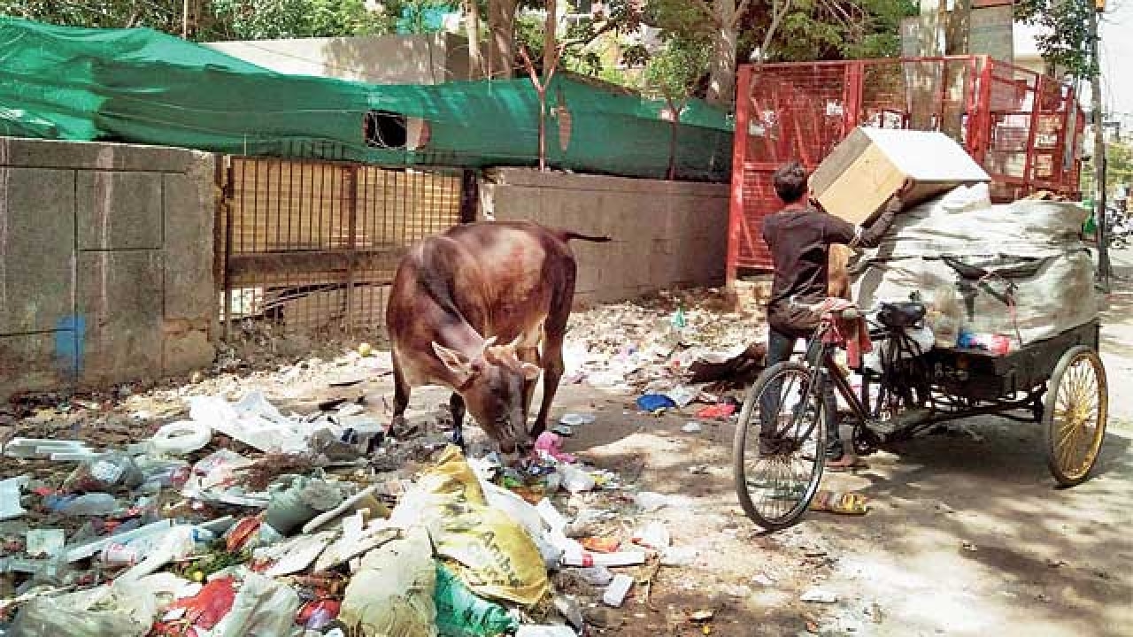 Sanitation complaints flood MCD helpline