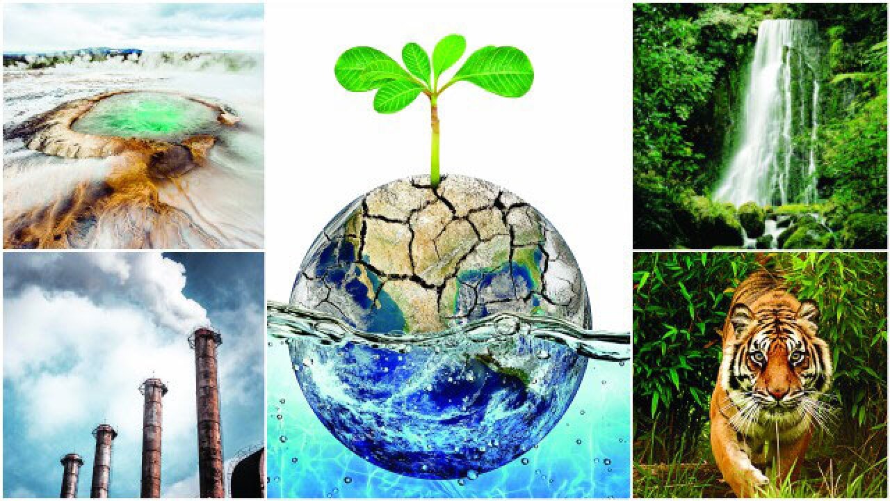 World Environment Day: Have you paid attention to the ground beneath ...