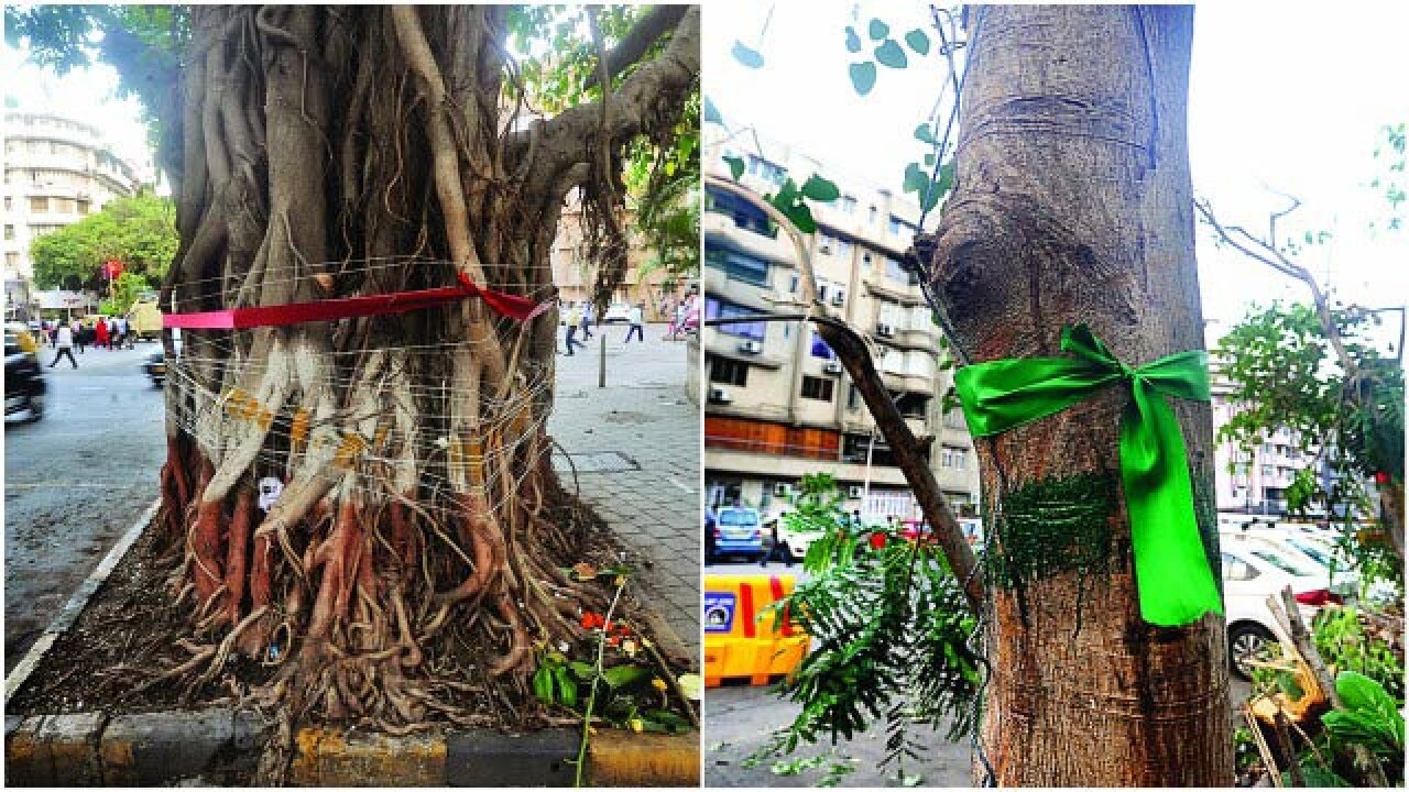 Metro III: Citizen tags South Mumbai trees with ribbons to save them