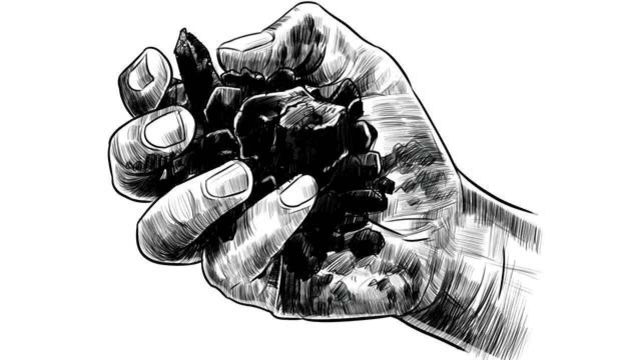 Ed Attaches Assets Worth Rs 206 Cr In Coal Block Allocation Case