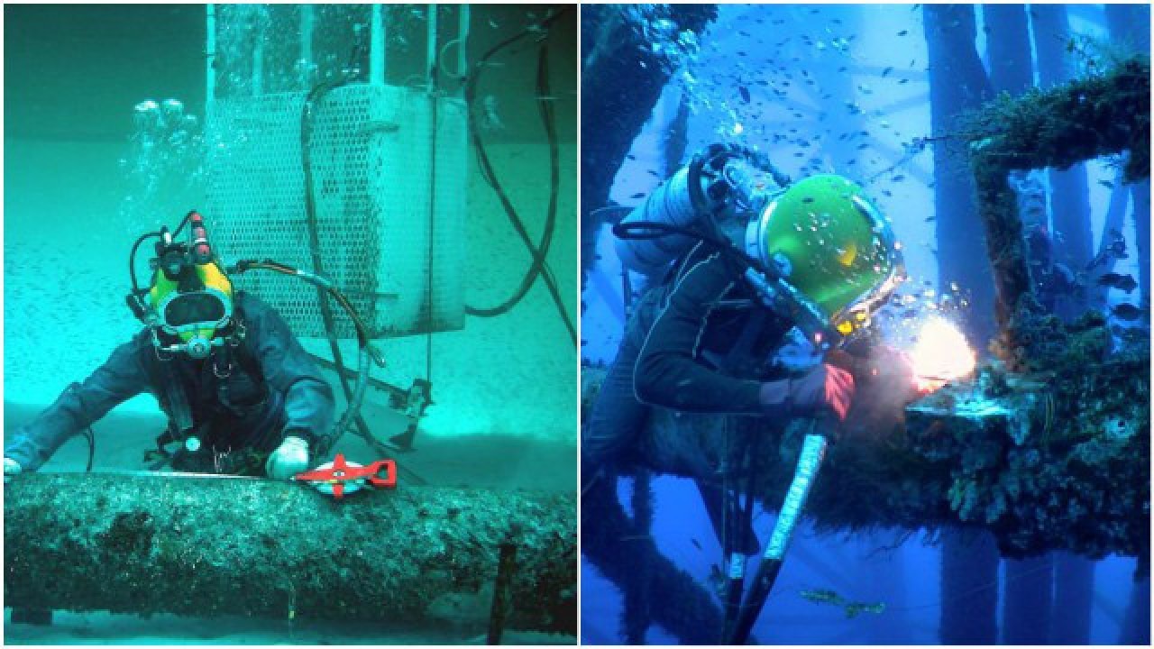 At home on the seabed