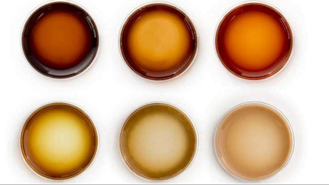 Scientists develop molecular code for melanin-like materials