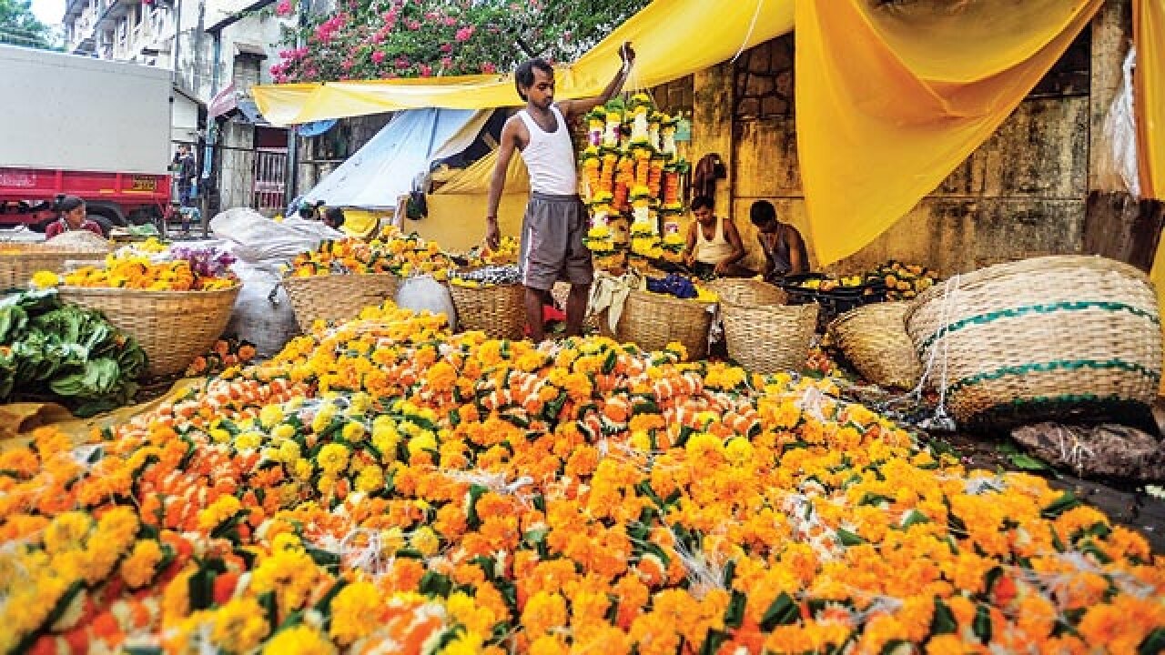 DNA Impact: DM orders Noida Authority to act against encroacher