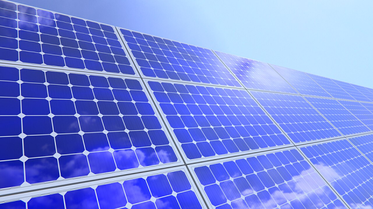 Taking a leaf out of plants' book to design solar cells