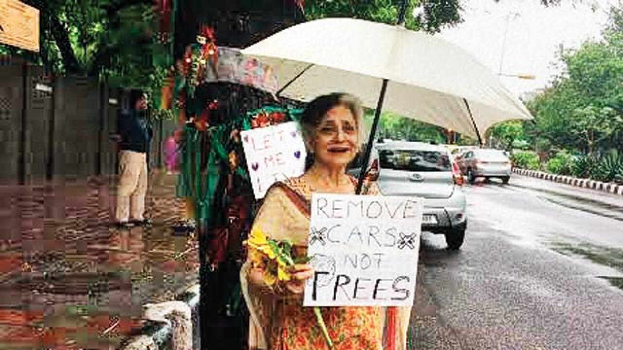 Tree felling on Aurobindo Marg: Forest officials pulled up