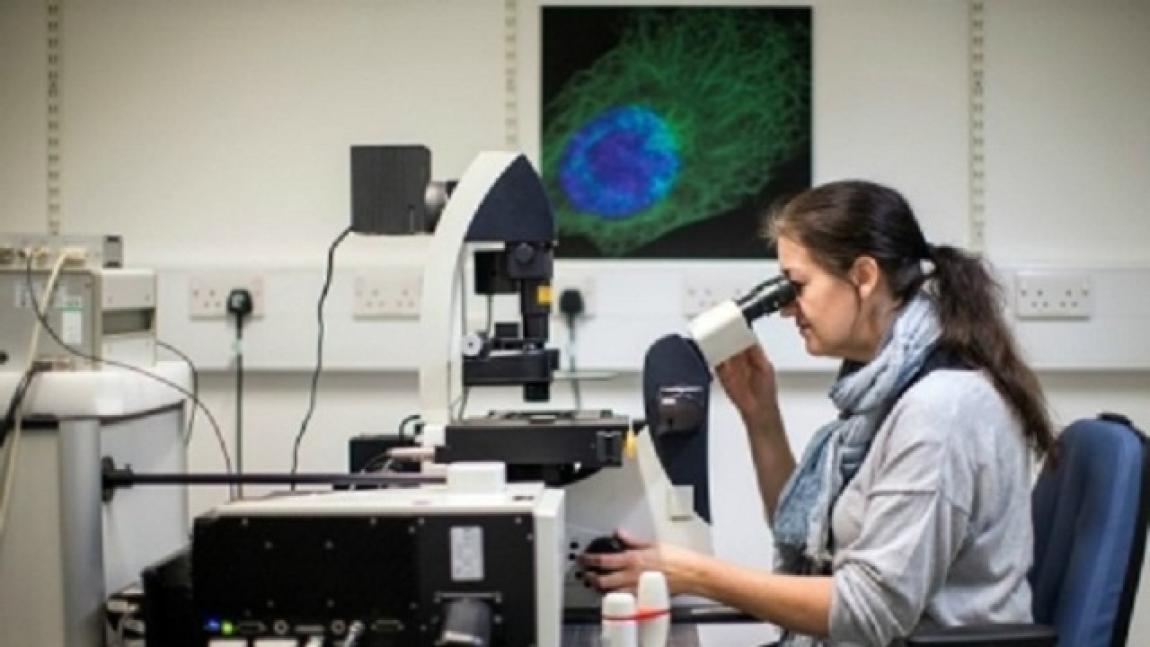 373 Indian scientists from foreign institutes returned home between ...