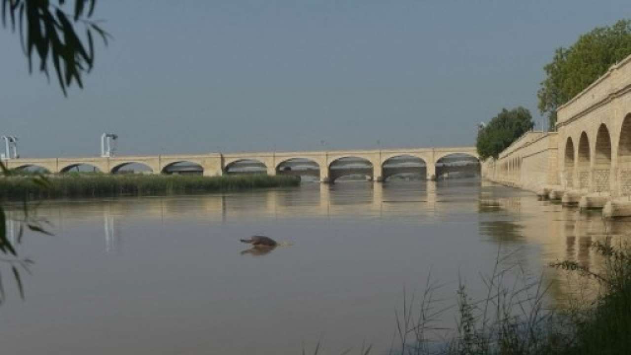 Constructive Indo-Pak Indus Water Treaty talks raise hopes of solution ...