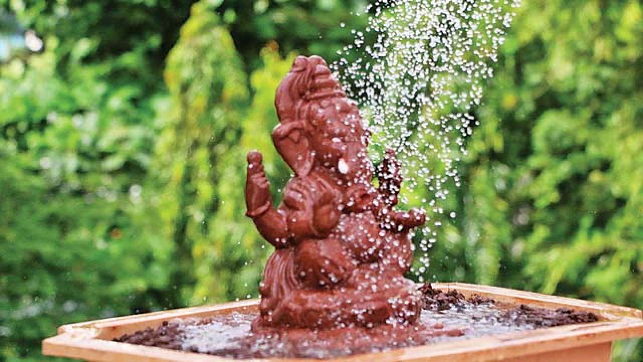 Tree Ganesh takes root, grows at steady pace