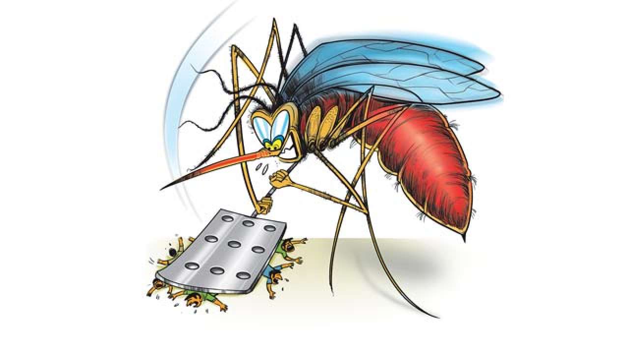 Dengue claims first life in Delhi this season, 325 hit