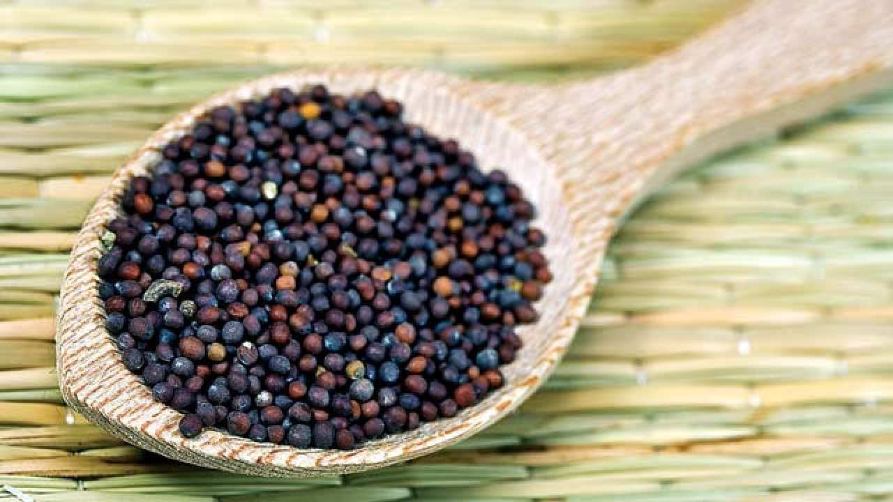 House panel blow to GM mustard plan