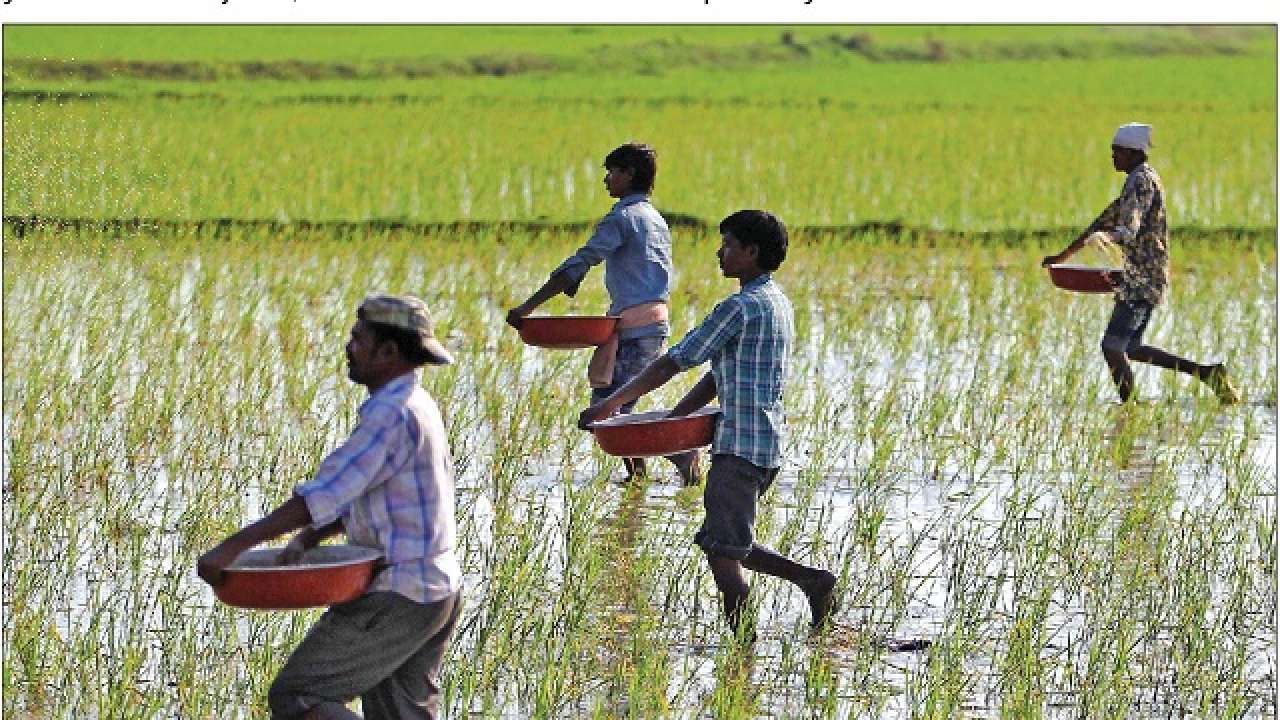 Capitalism isn’t for farmers