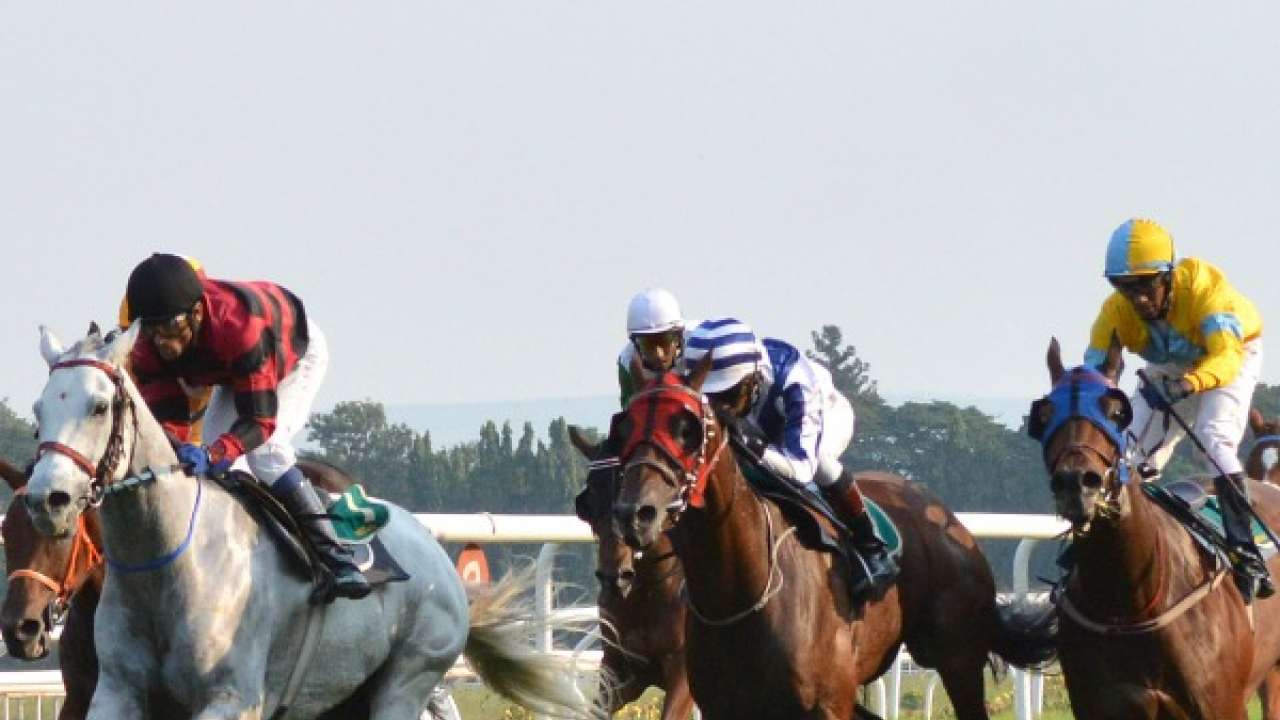 Track ready, monsoon racing begins tomorrow