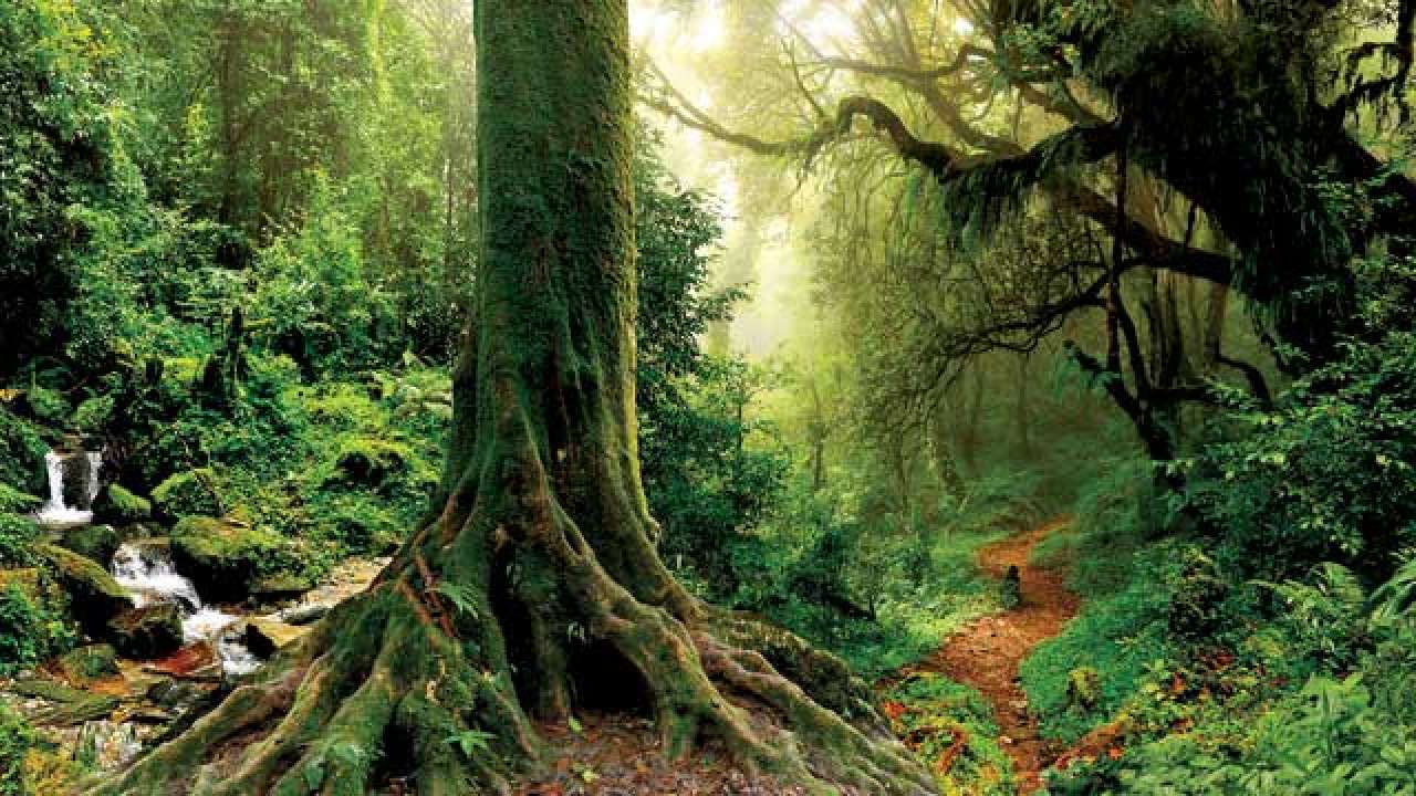 Creating the right environment: From 'roadblock ministry' to 'ease of ...