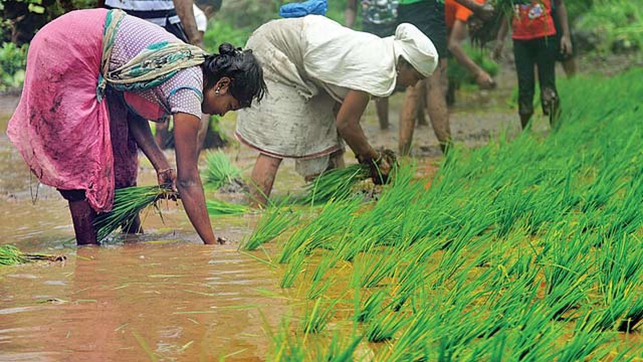 Maha govt unsure of disbursing farm loan waiver by Diwali