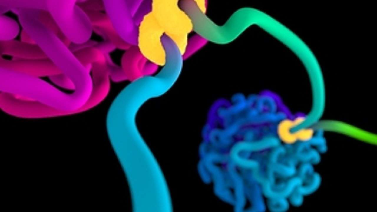 First 4D map of human genome folding created