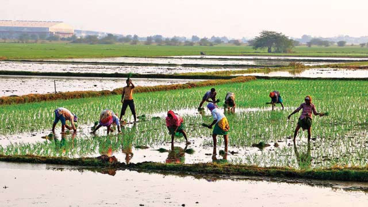 Inhaling pesticides cannot lead to death: Crop Care Federation