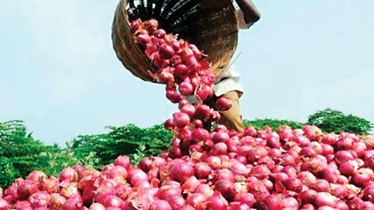 Nashik onion traders submit fake export bills