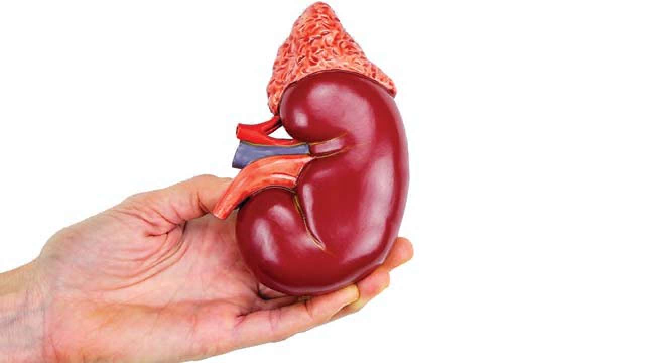 Alert doc saves Bihar woman from selling kidney