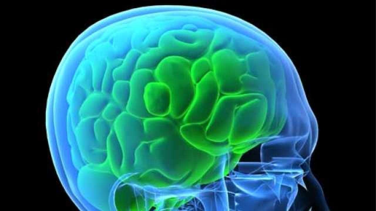 'Daydreaming' brain network helps us perform routine tasks