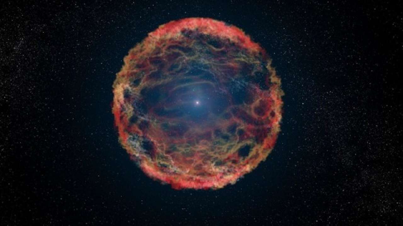 'Bizarre star that refuses to die discovered'