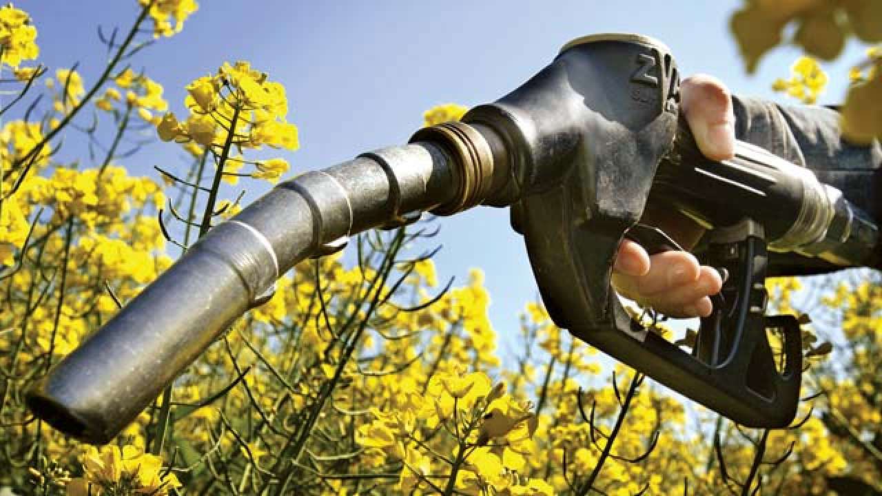 Bio-diesel sales come to a halt on higher GST rate