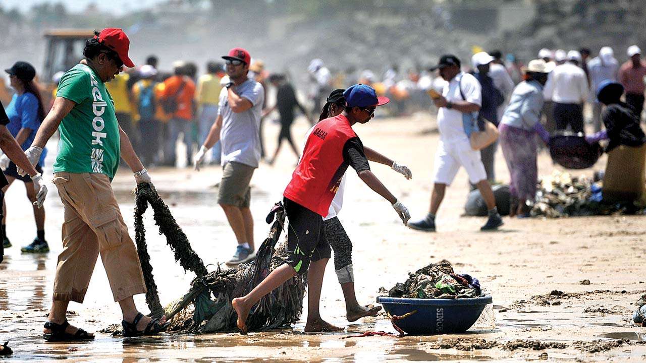Beach clean-up to get back on track