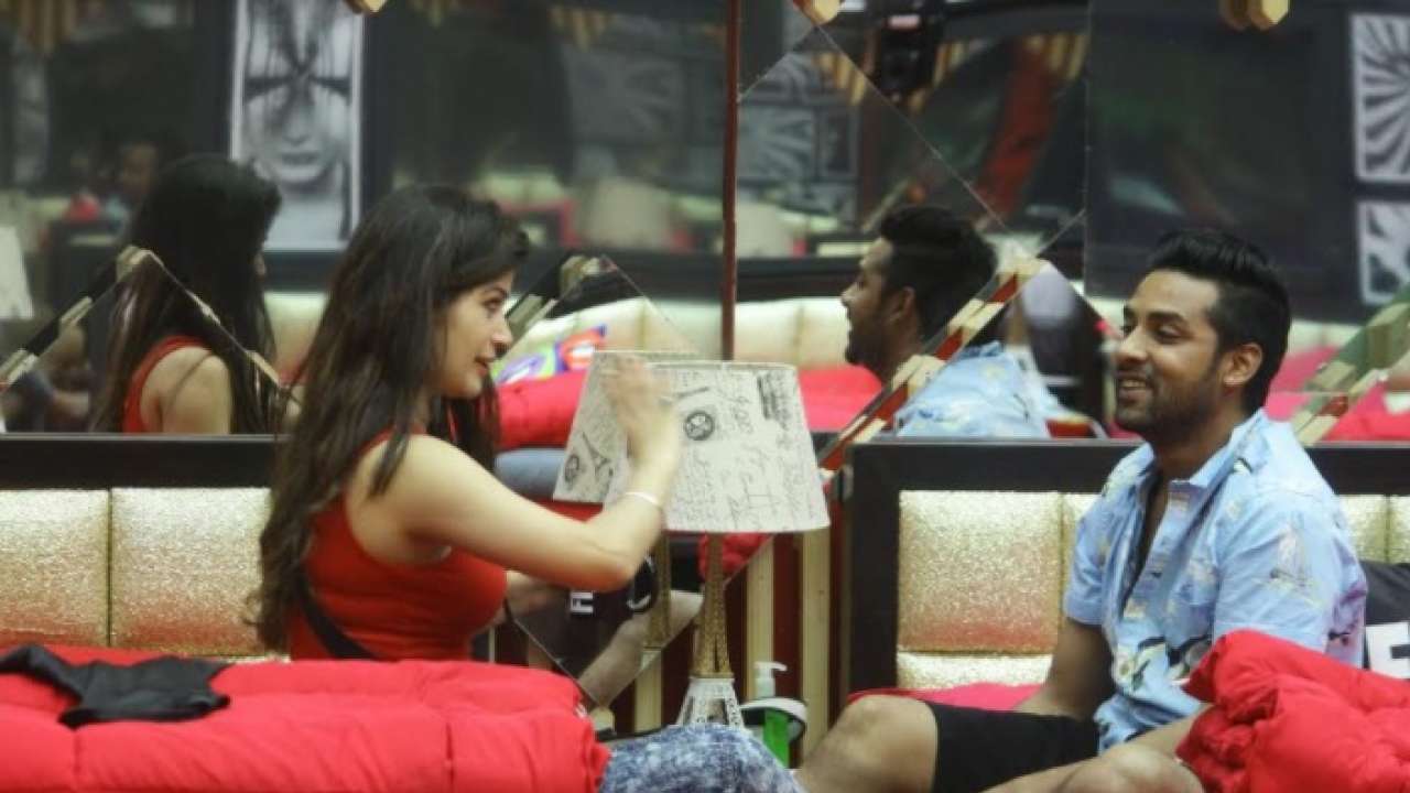 Bigg Boss 11: Bandagi asks Puneesh for a break up, here's what her ex ...