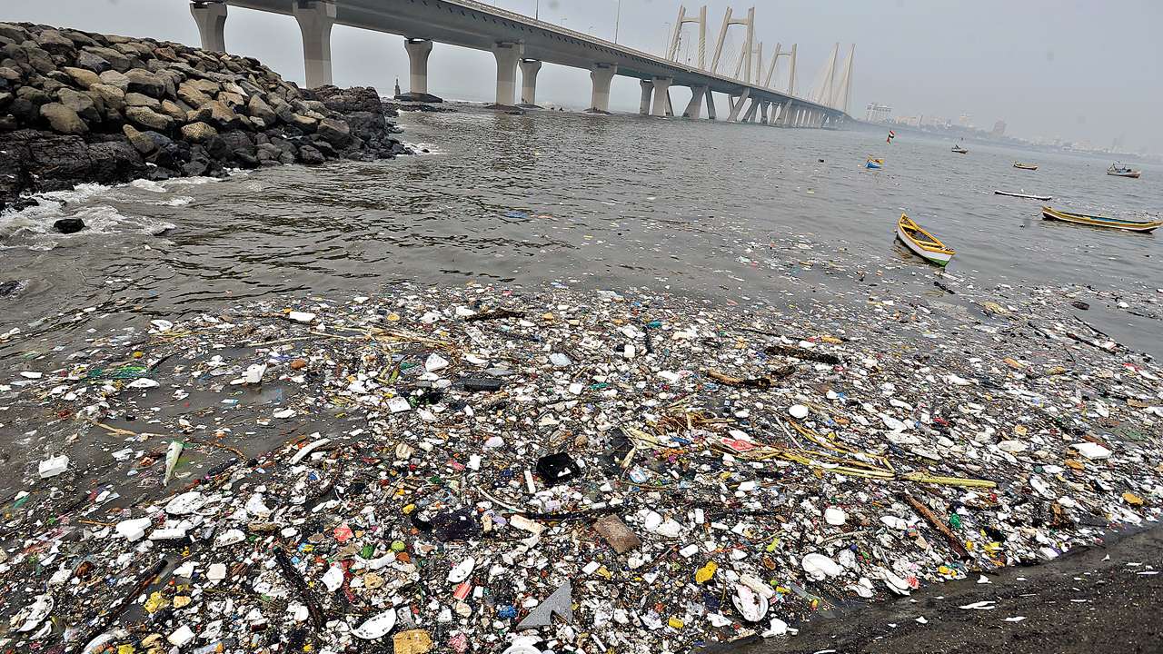 Devendra Fadnavis seeks action on littered beaches, civic body pulls up ...