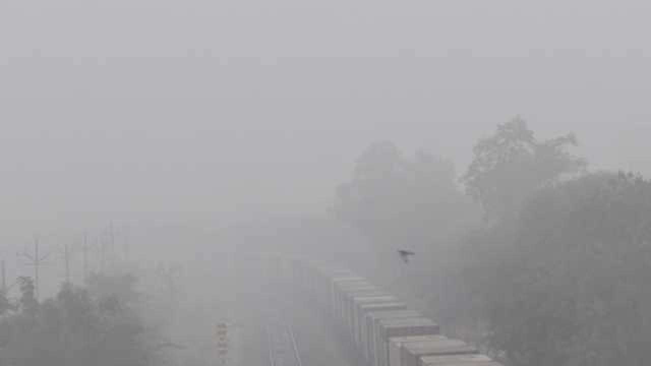 Fog-related road accident kills five in Uttar Pradesh