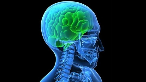 Brain 'tickling' can boost your memory: Here's how!