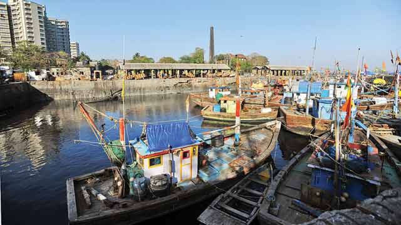 Docks that played a leading role in Mumbai's industrial evolution