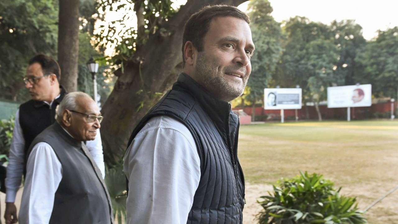 Rahul Gandhi's Holi plan is bound to make you smile
