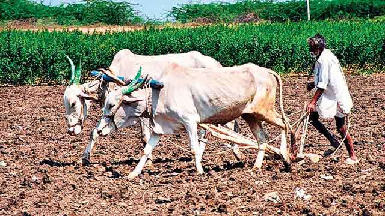 Maharashtra's economy to grow at 7.33% in 2017-18, down from 10% in 2016-17