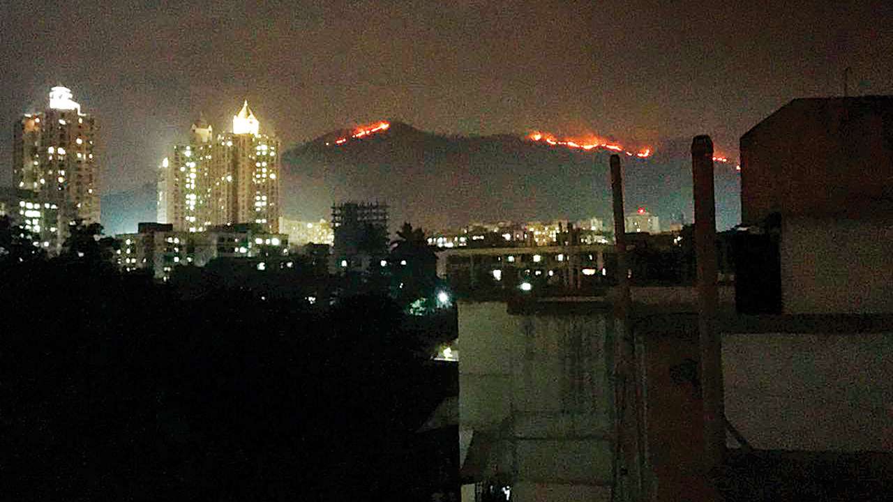 Scattered forest fires engulf parts of Sanjay Gandhi National Park