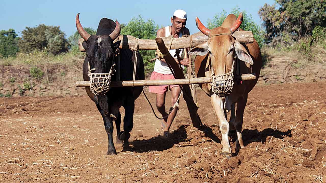 MSP to include cost of family labour: NITI Aayog official