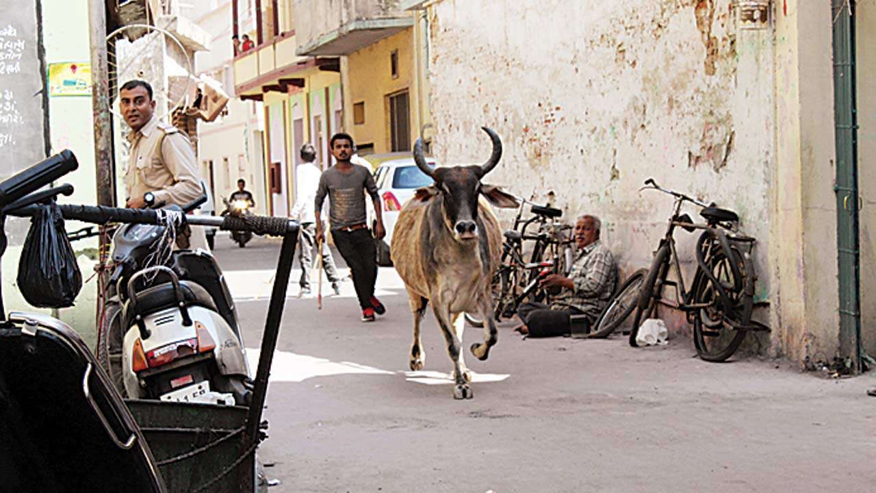 Gujarat have no gauchar land in over 2,750 villages