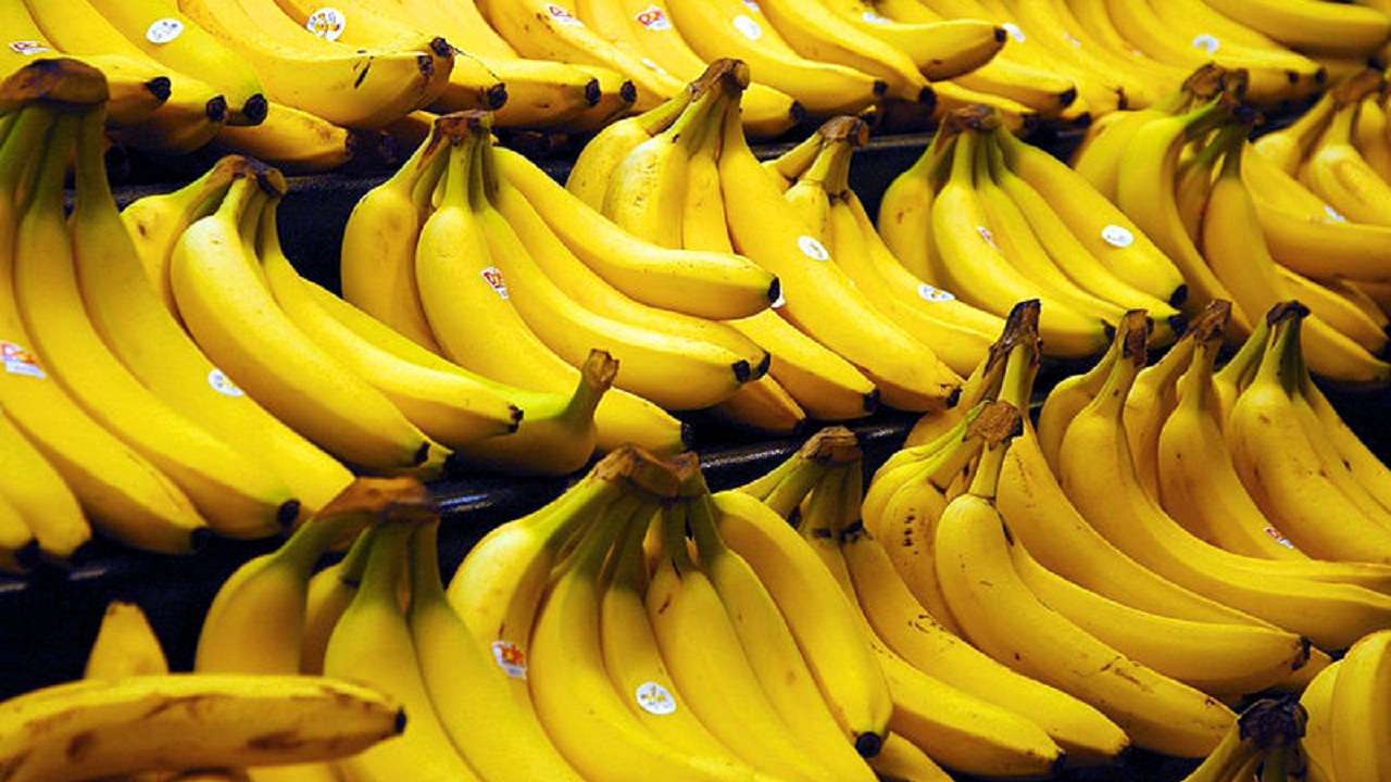 Banana plant extract to help make ice cream 'melt-proof'