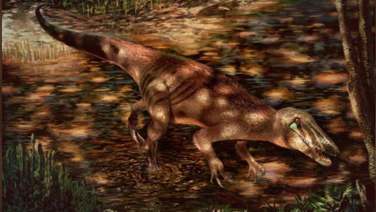 Meet Tratayenia rosalesi, the apex predator that menaced every other ...