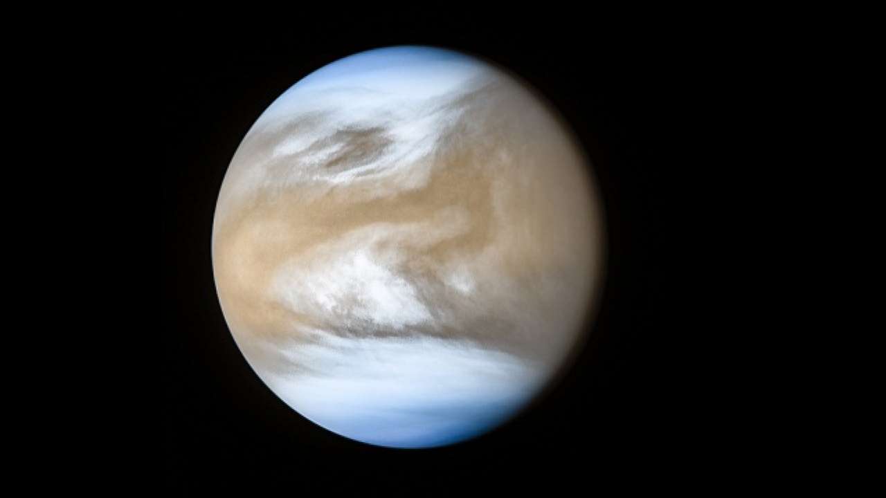 Clouds of Venus may host alien life, finds new study