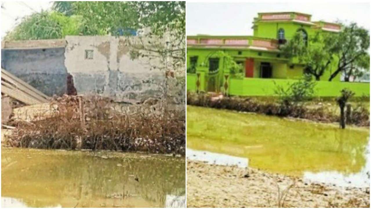 Dengue sting haunts water wary Malsisar