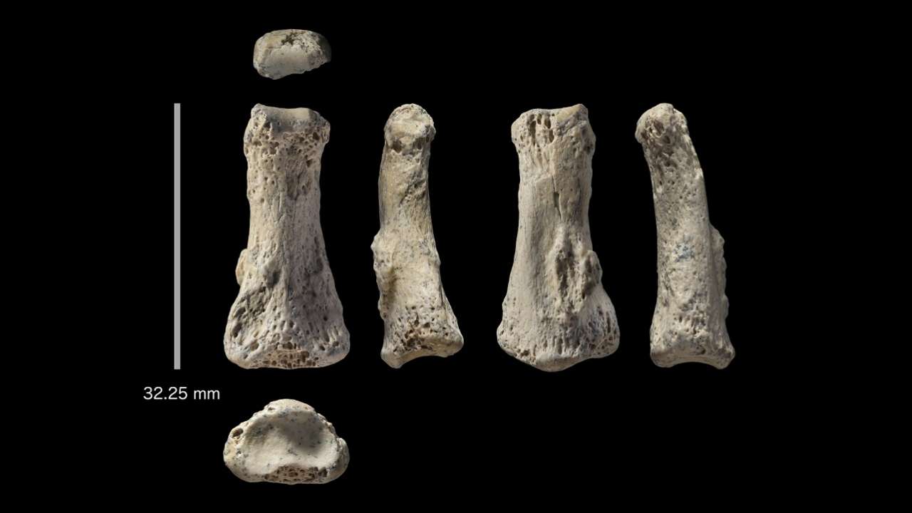 Fossil Homo sapiens finger from Saudi desert is 90,000 years old
