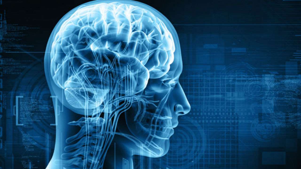 Scientists discover world's smallest implantable device to control ...