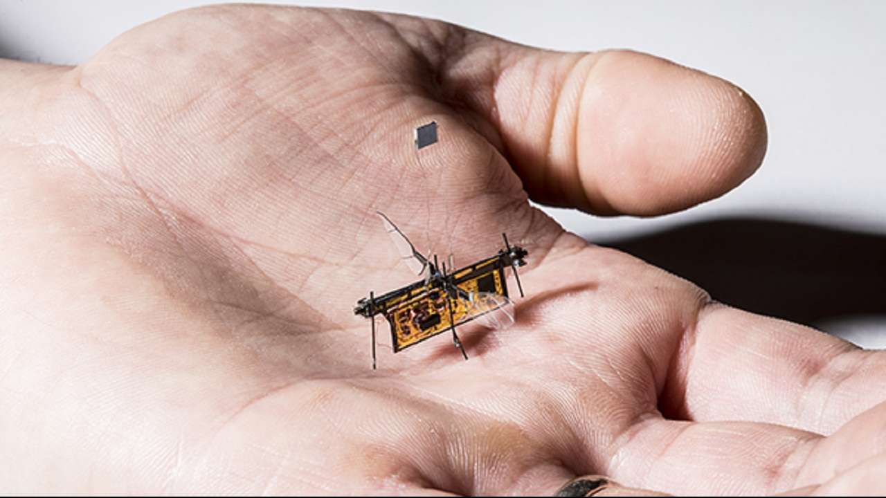 Researchers including 3 Indians build world's 1st wireless insect-sized ...