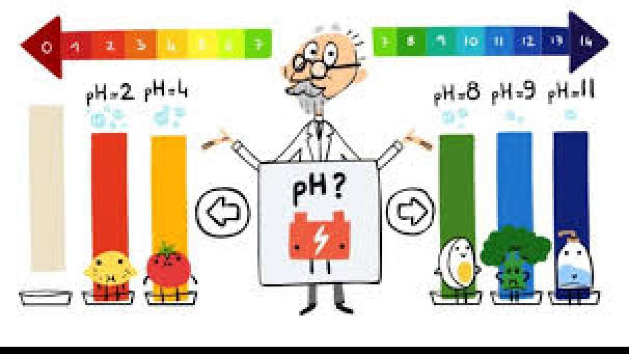 Google doodle celebrates founder of pH level Sorensen