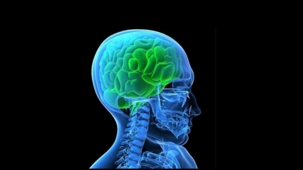 Brain area key to spiritual experiences identified