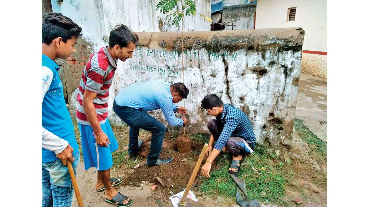This village gives 30% tax relief for planting saplings in Gujarat