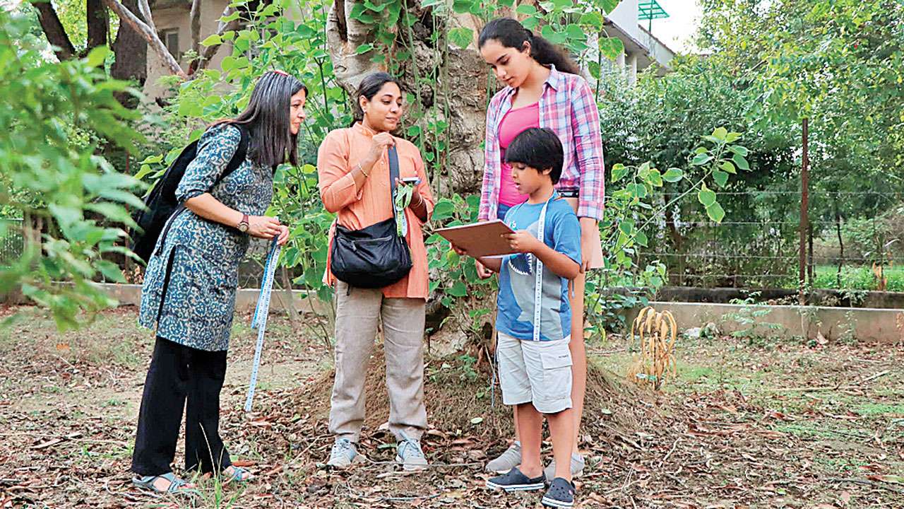 Delhi: Activists, volunteers come together to know more about trees