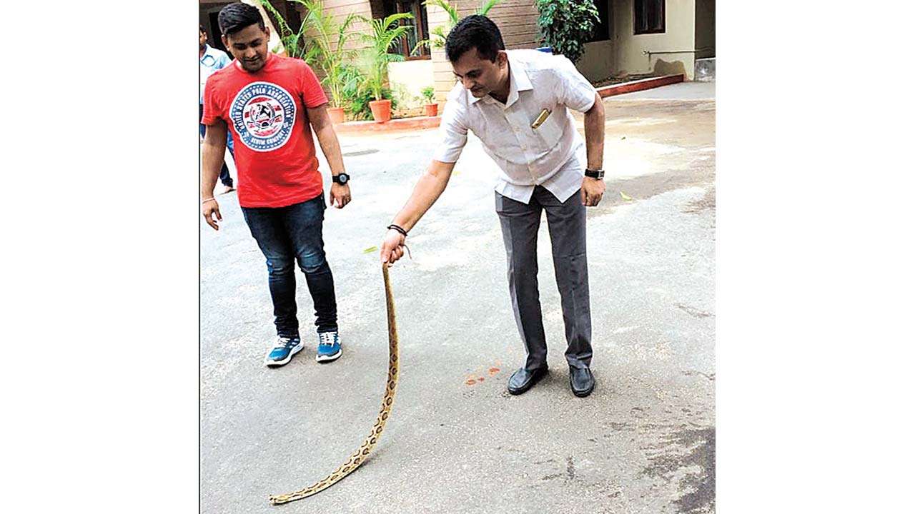Video of Leader of opposition Paresh Dhanani catching snake goes viral