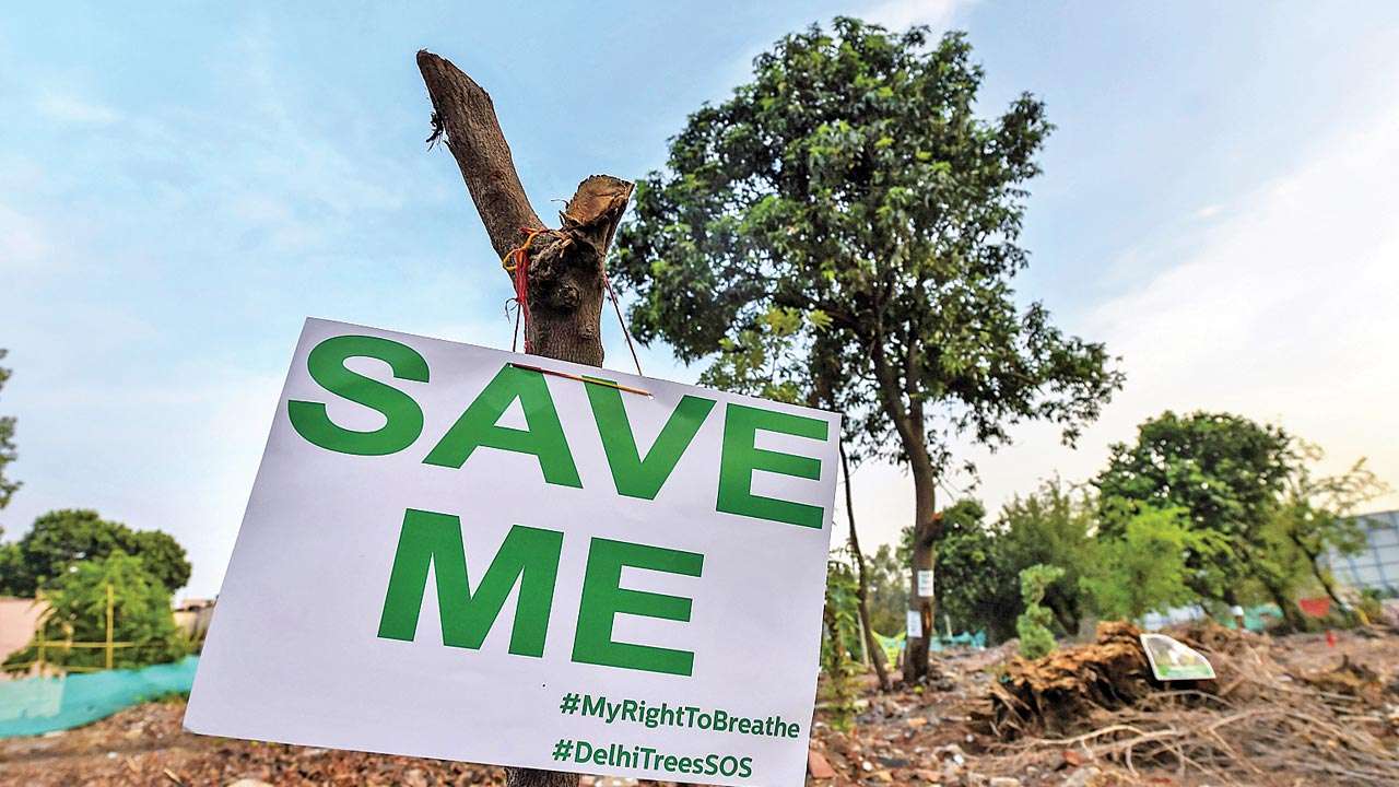 All projects to get delayed: CPWD